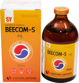 Review TOP 4 thuốc tăng sức đề kháng cho gà – cách chăm gà tốt khoẻ